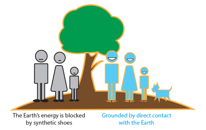 What is Earthing - Earthing Institute